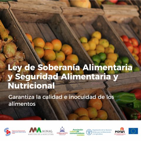La Ley de Soberanía Alimentaria y Seguridad Alimentaria y Nutricional (Ley SSAN): Un Pilar para ...